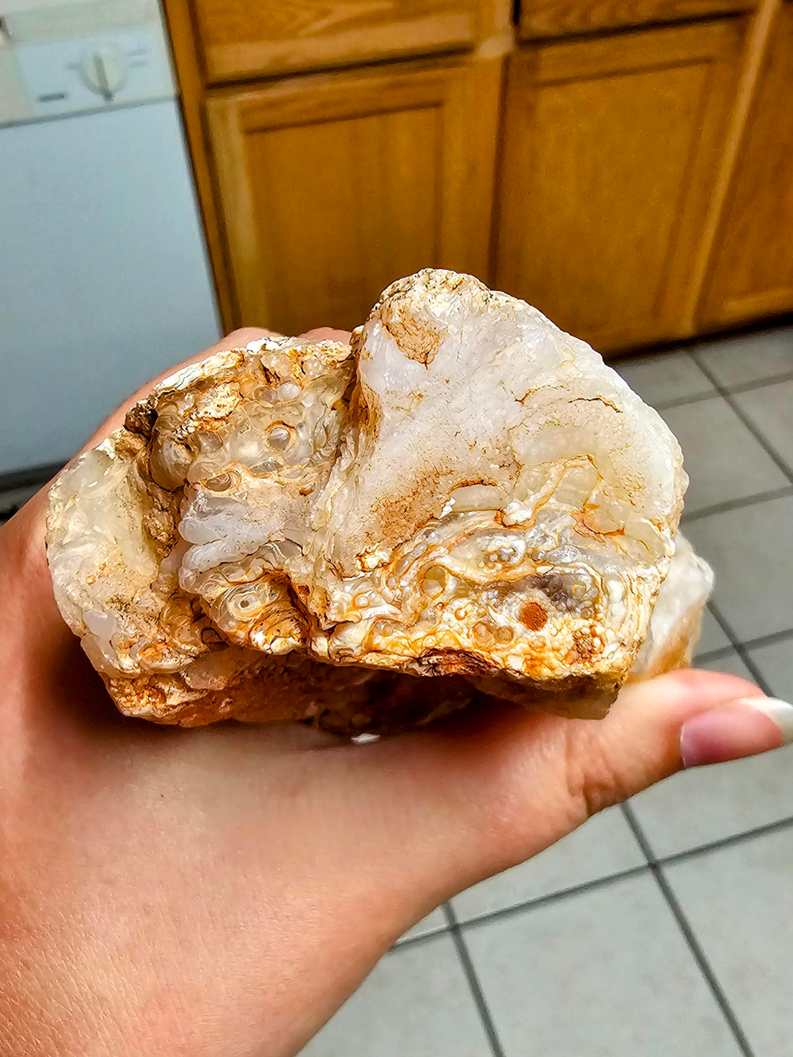 Rockhounding in Arizona – Saddle Mountain Fire Agate! Rare Gems and ...